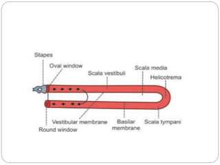 MECHANISM OF HEARING.pptx