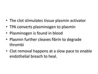 Mechanism of hemostasis copy | PPT