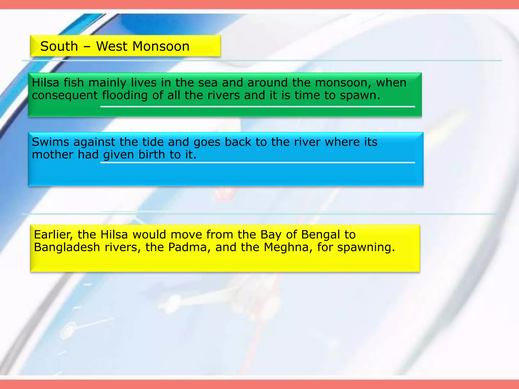 Mechanism of hilsa (tenualosa ilisha) migration and its impact to ...