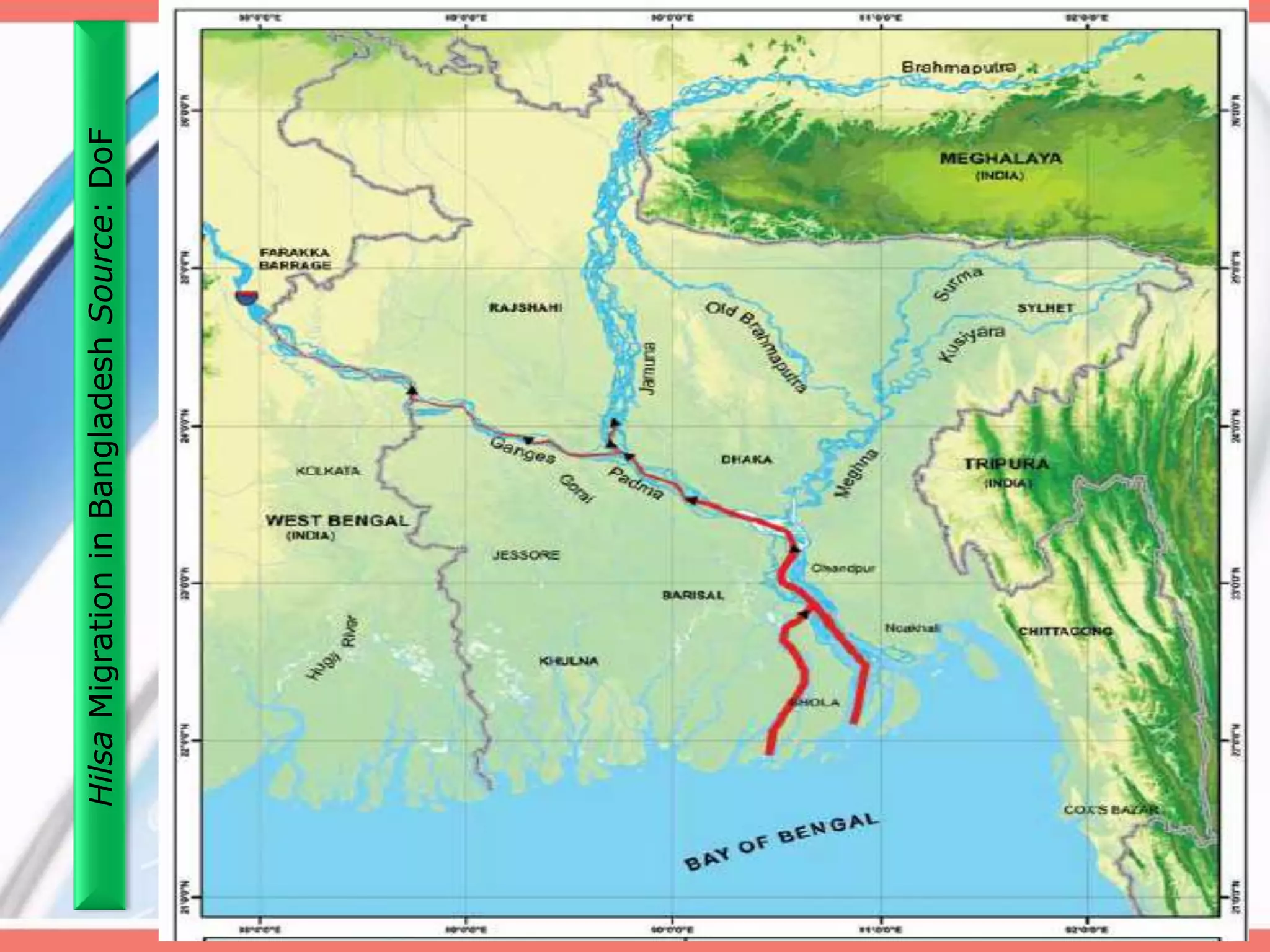 Mechanism of hilsa (tenualosa ilisha) migration and its impact to ...