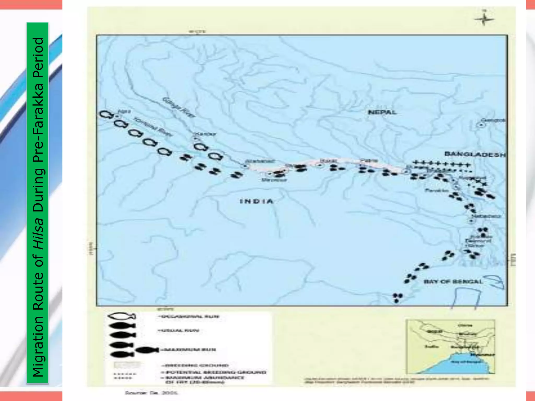 Mechanism of hilsa (tenualosa ilisha) migration and its impact to ...