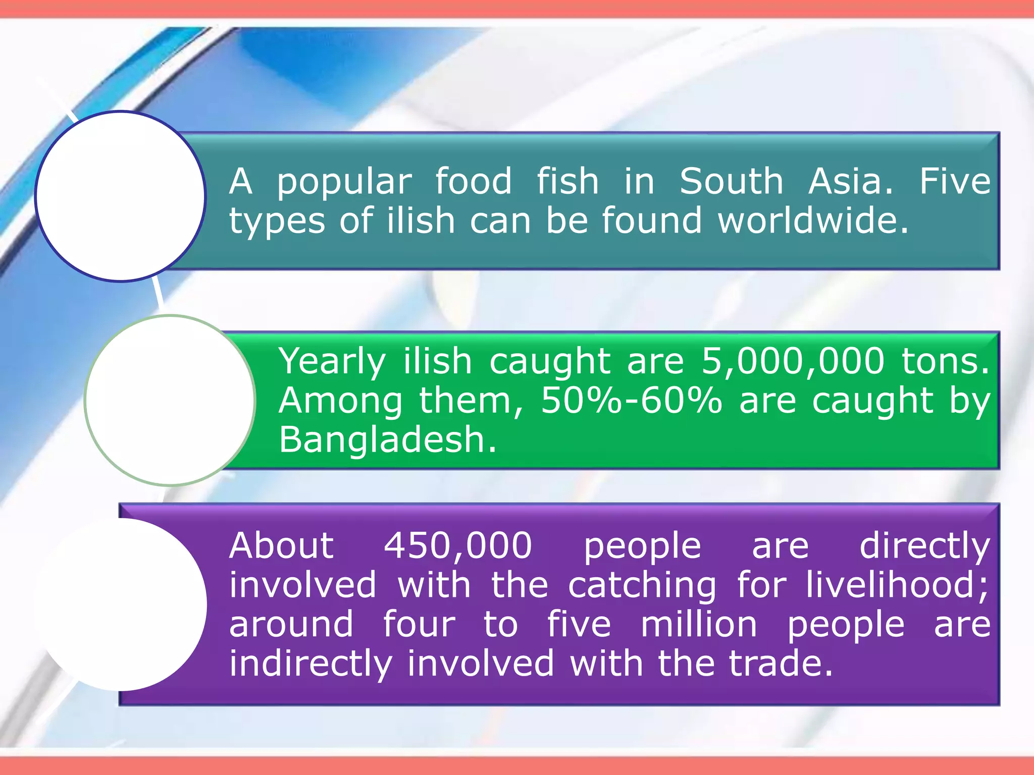 Mechanism of hilsa (tenualosa ilisha) migration and its impact to ...