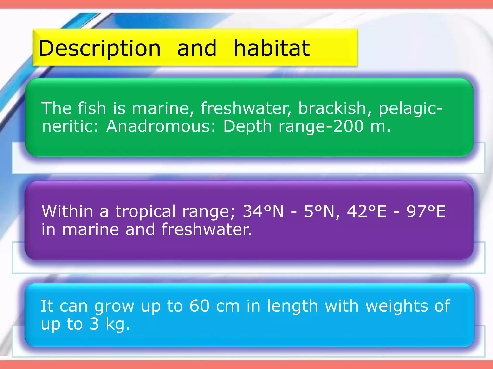 Mechanism of hilsa (tenualosa ilisha) migration and its impact to ...