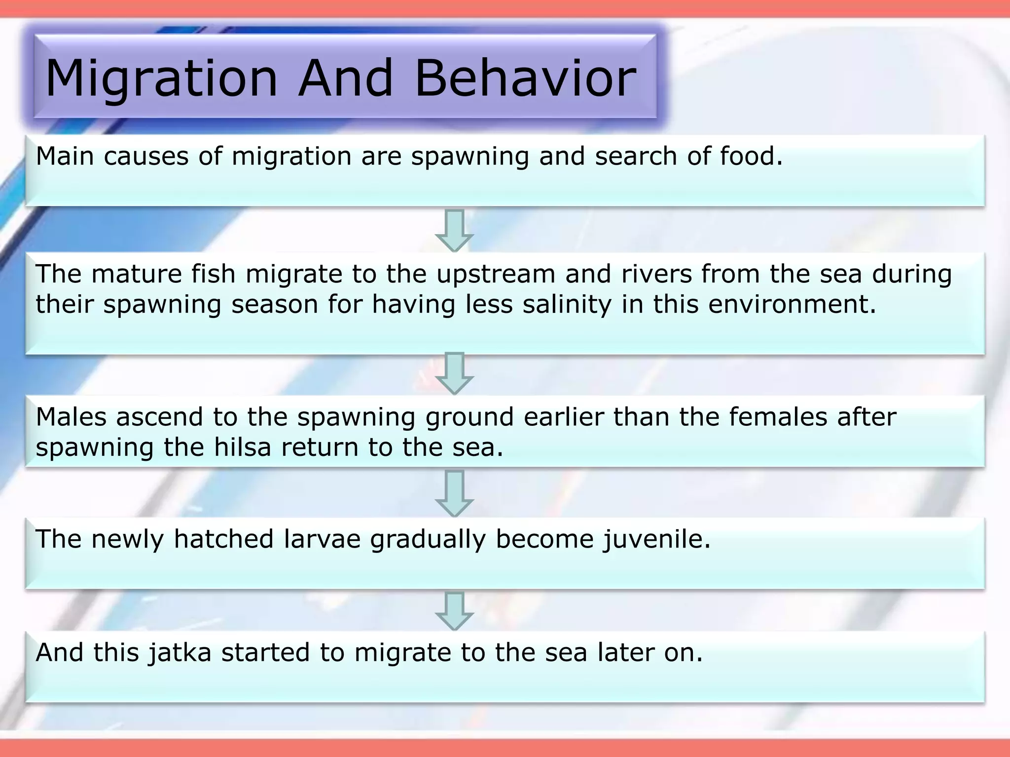 Mechanism of hilsa (tenualosa ilisha) migration and its impact to ...