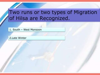 Mechanism of hilsa (tenualosa ilisha) migration and its impact to ...