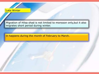 Mechanism of hilsa (tenualosa ilisha) migration and its impact to ...