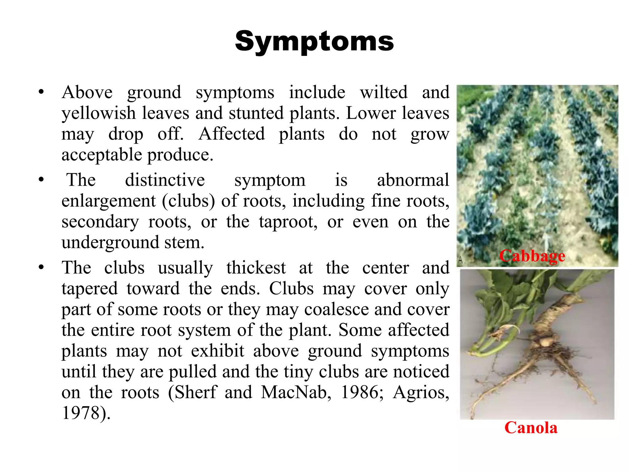 Mechanism of hypertrophy symptoms in various host pathogen interaction ...