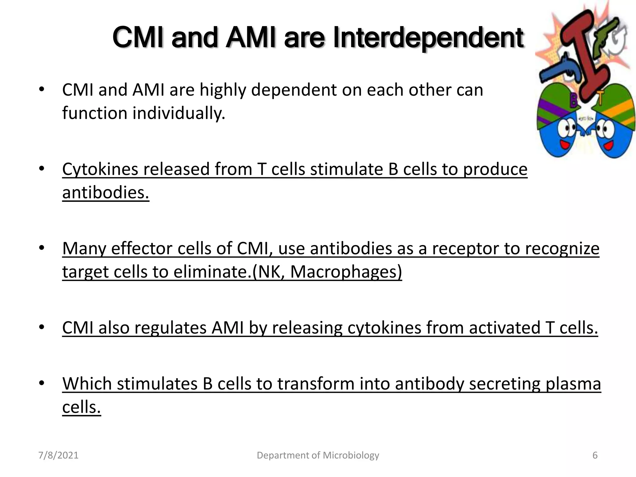 Mechanism of immune response ami and cmi | PPTX