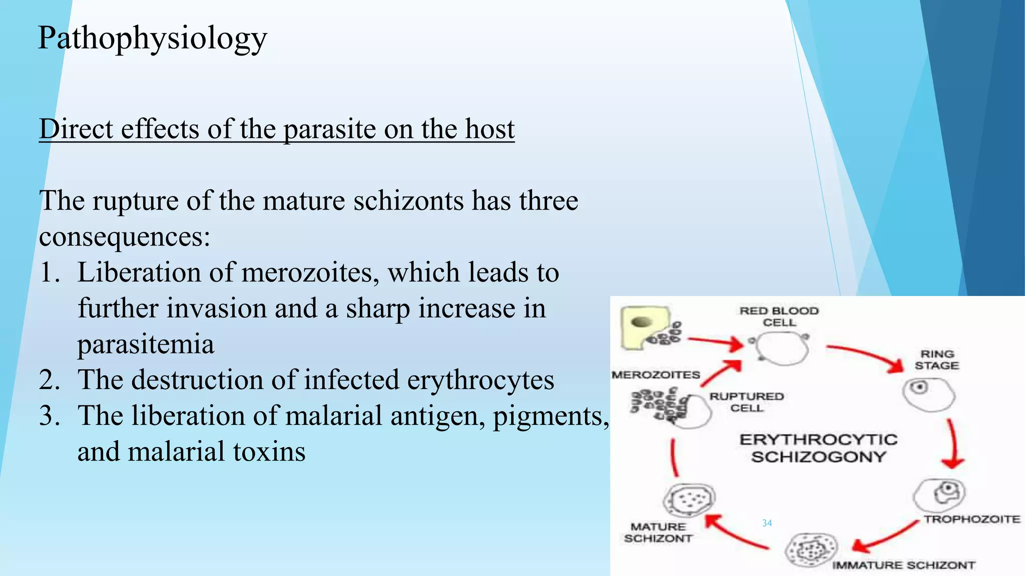 Mechanism of immunoevasion in parasites 2018 06-17 | PPTX