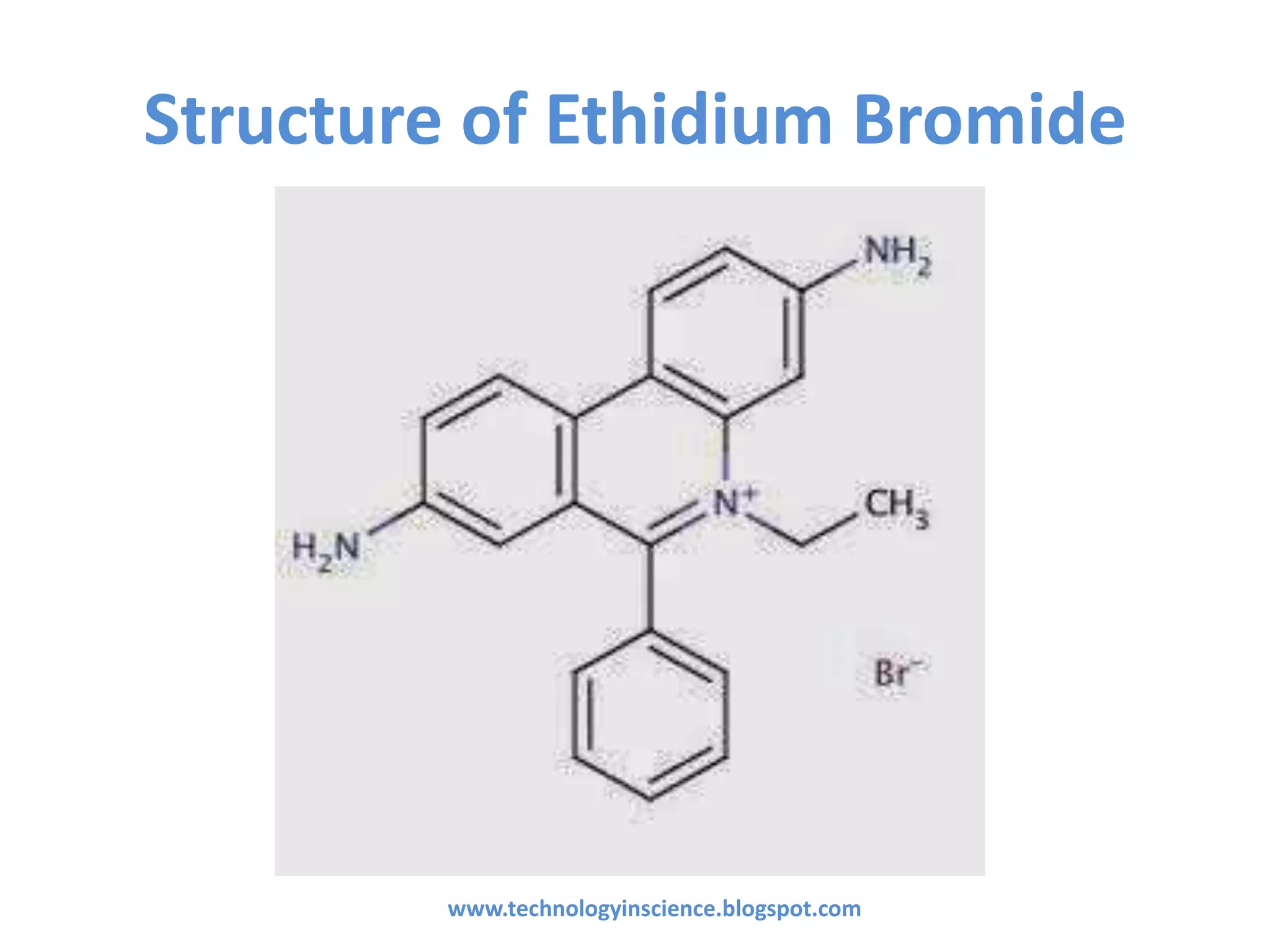Mechanism of interaction of Ethidium Bromide (EtBr) with DNA | PPTX