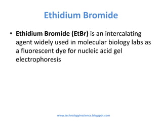 Mechanism of interaction of Ethidium Bromide (EtBr) with DNA | PPTX
