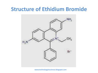 Mechanism of interaction of Ethidium Bromide (EtBr) with DNA | PPTX