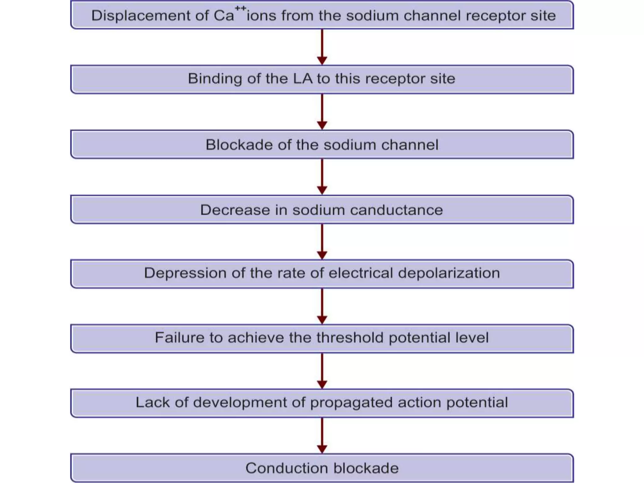 Mechanism of local anesthesia | PPTX