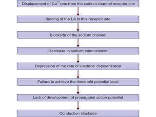 Mechanism of local anesthesia | PPTX