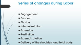 Mechanism of labor | PDF
