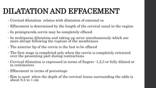 Mechanism of labor | PPTX