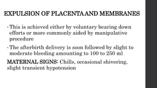 Mechanism of labor | PPTX