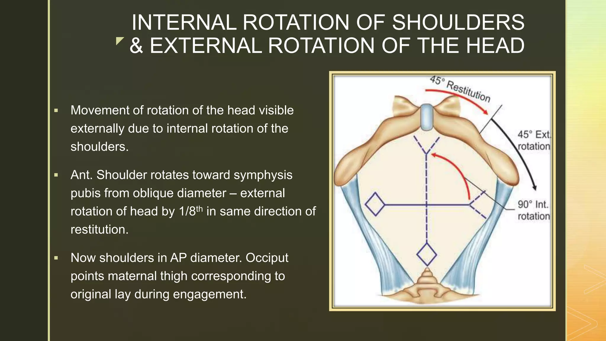 Postition of fetus and Mechanism of labor | PPTX