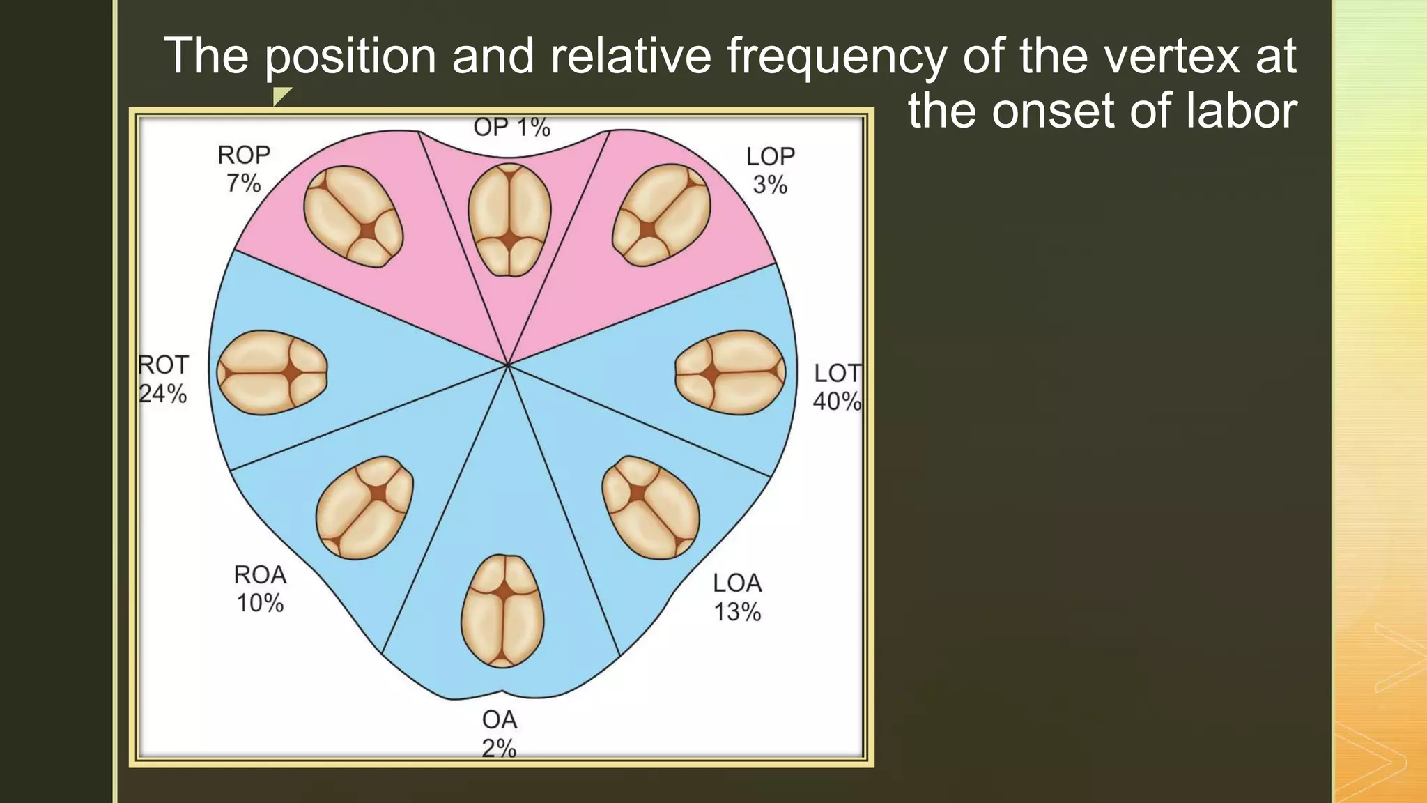 Postition of fetus and Mechanism of labor | PPTX