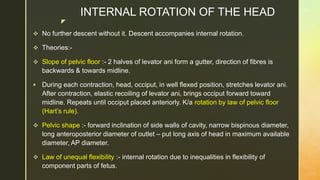 Postition of fetus and Mechanism of labor | PPTX