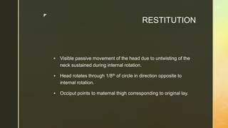 Postition of fetus and Mechanism of labor | PPTX