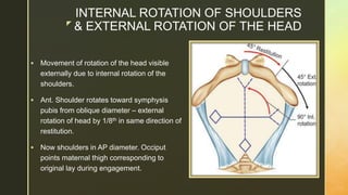 Postition of fetus and Mechanism of labor | PPTX