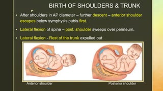 Postition of fetus and Mechanism of labor | PPTX