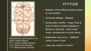 Postition of fetus and Mechanism of labor | PPTX