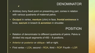 Postition of fetus and Mechanism of labor | PPTX