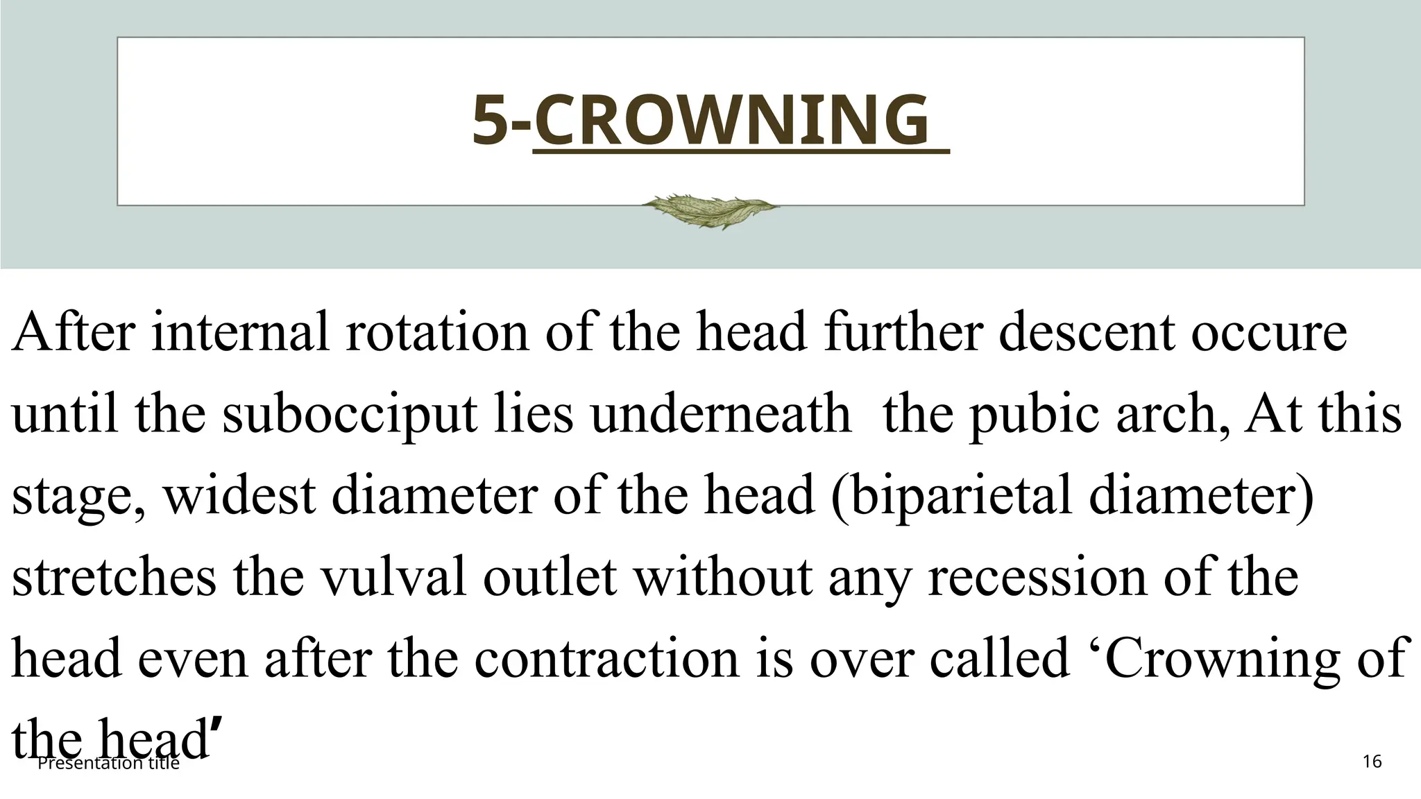 MECHANISM OF LABOR.(Cardinal Movement)Mechanism of labour a series of ...