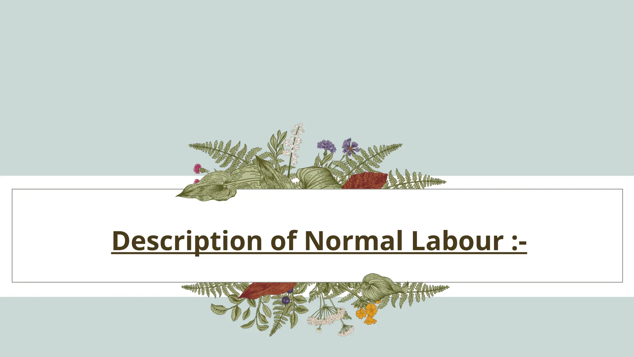 MECHANISM OF LABOR.(Cardinal Movement)Mechanism of labour a series of ...