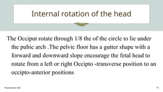 MECHANISM OF LABOR.(Cardinal Movement)Mechanism of labour a series of ...