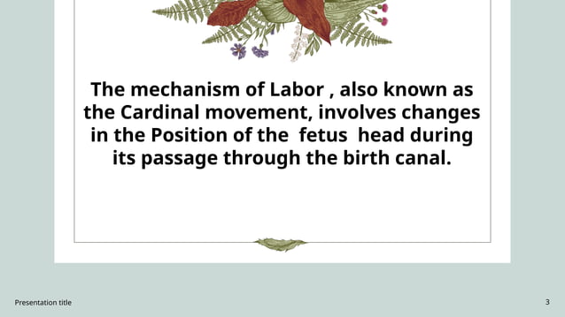 MECHANISM OF LABOR.(Cardinal Movement)Mechanism of labour a series of ...