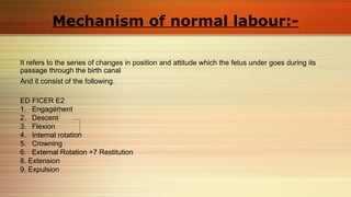 The Mechanism of Normal Labor class.pptx