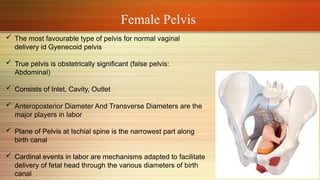 The Mechanism of Normal Labor class.pptx