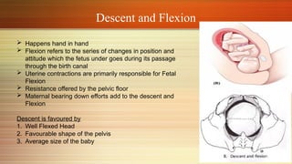 The Mechanism of Normal Labor class.pptx