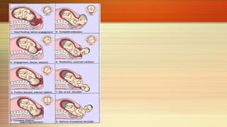 The Mechanism of Normal Labor class.pptx