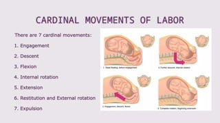 MECHANISM OF LABOR.pptx include steps progress evaluation and types of ...