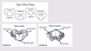 MECHANISM OF LABOR.pptx include steps progress evaluation and types of ...