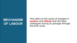 mechanism of labor_ppt.pptx a reference for Maternal and Child | PPTX