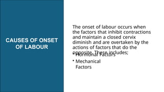 mechanism of labor_ppt.pptx a reference for Maternal and Child | PPT
