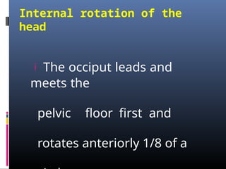 mechanismoflabour - definition, principles and cardinal movements | PPTX
