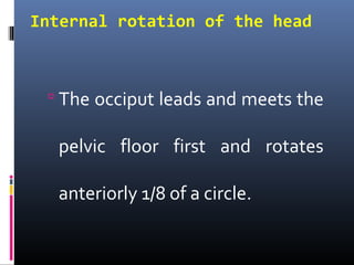 Mechanism of labour | PPT