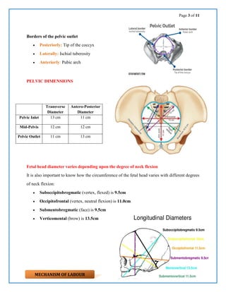 Mechanism of labour | PDF