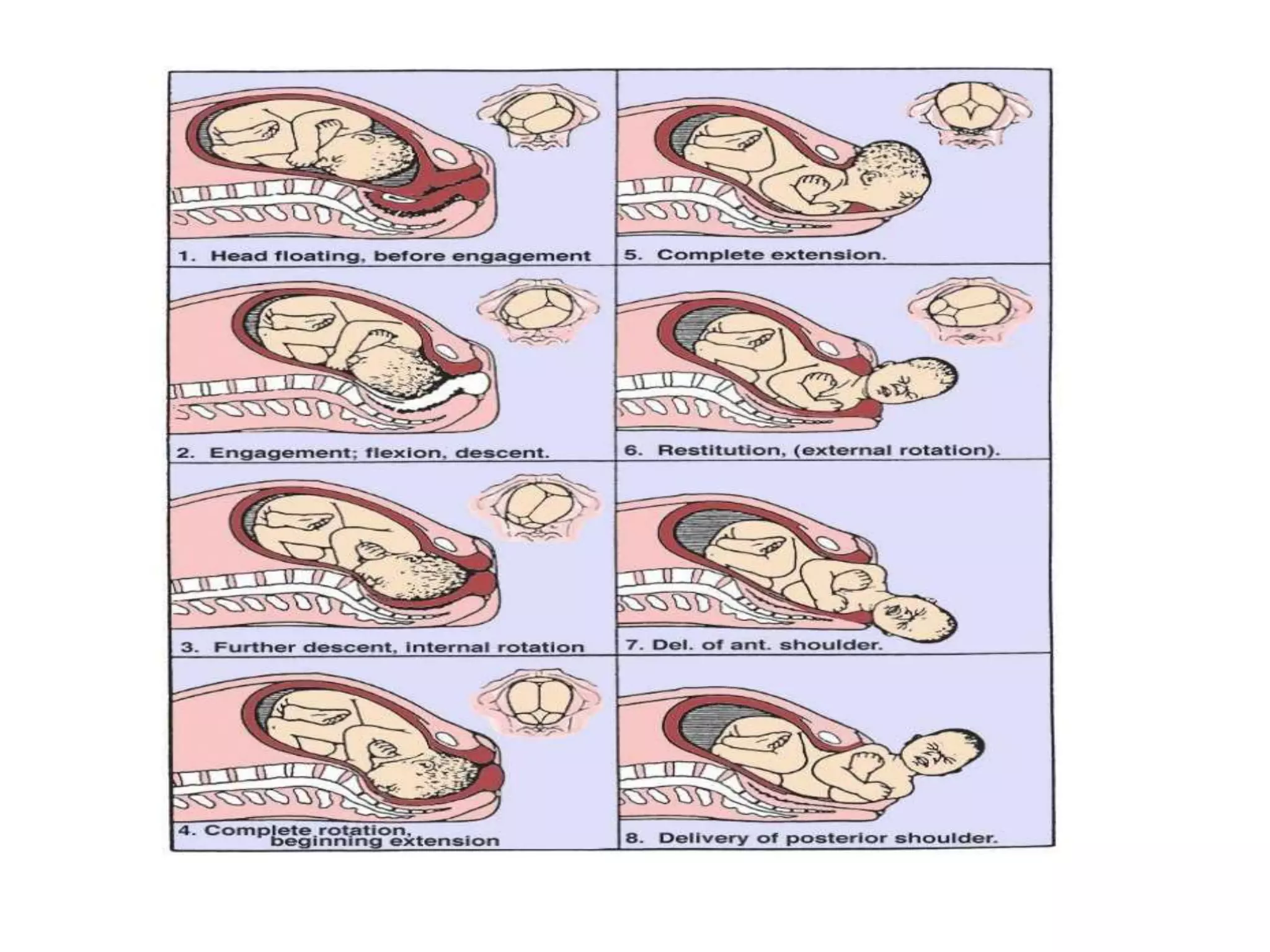 Mechanism of labour | PPTX