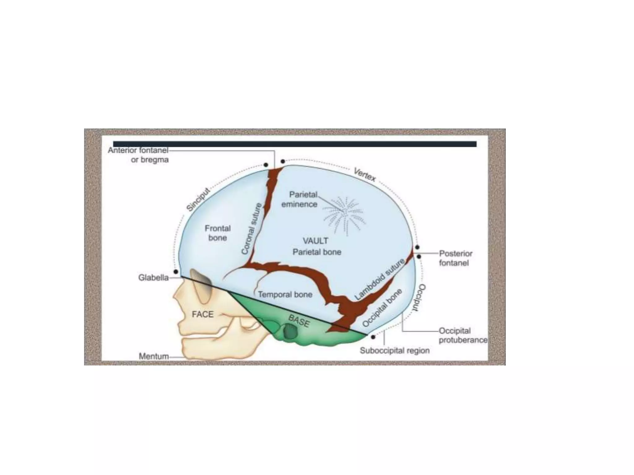 Mechanism of labour | PPTX