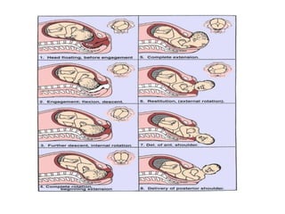 Mechanism of labour | PPTX