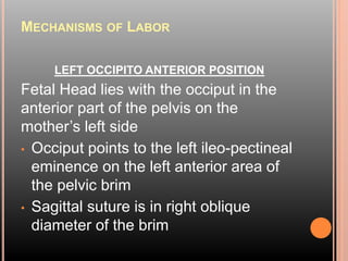 MECHANISM OF LABOUR.ppt