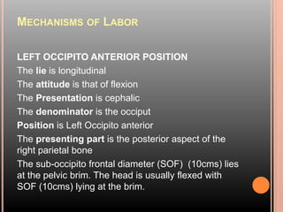 MECHANISM OF LABOUR.ppt