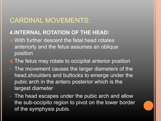 MECHANISM OF LABOUR.ppt